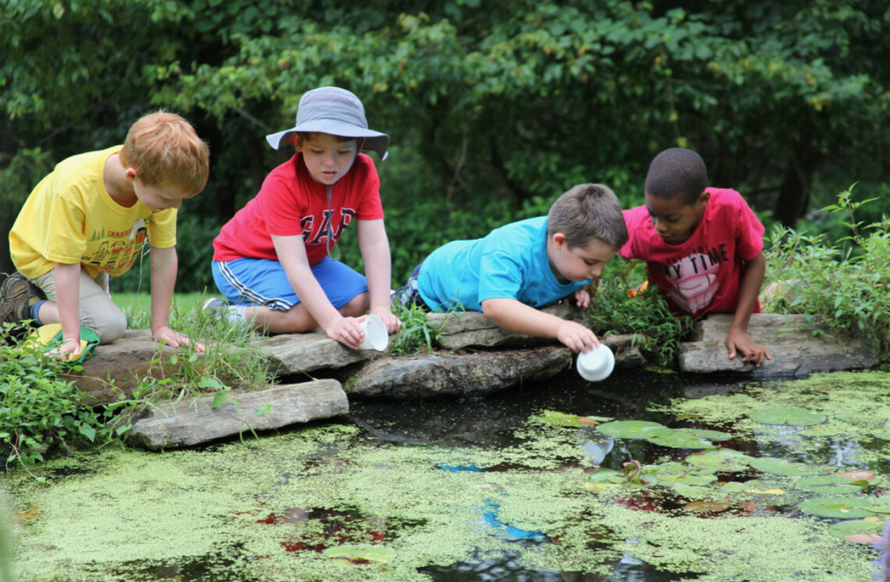 The Magic of Summer Camp: 10 Essential Benefits for Kids of All Ages ...