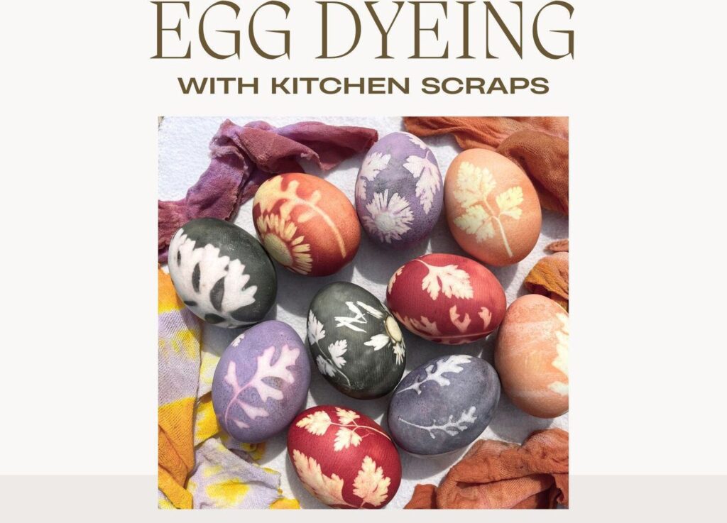 Dyeing to Survive: Natural Egg Dye Workshop at SHIFT • Main Line Parent